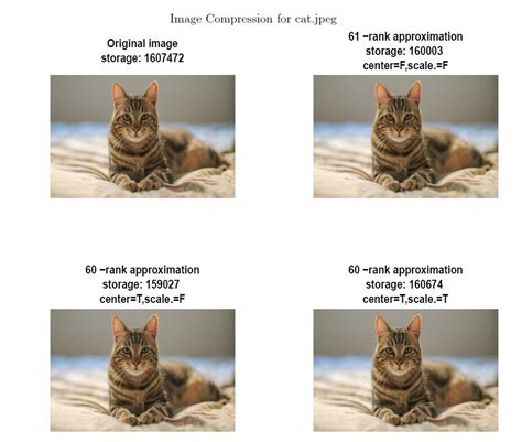 Solved Please Use R Programming And Download The Jpeg File