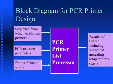 Ppt Computational Biology Part 5 Pcr Primer Design And Basic