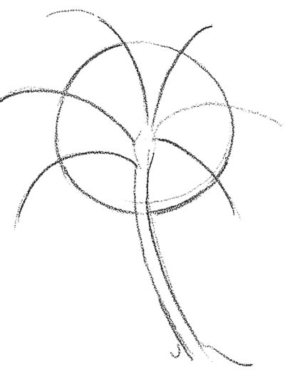 How To Draw Palm Trees In Front Of The Sun Drawing Lesson How To Draw Step By Step Drawing