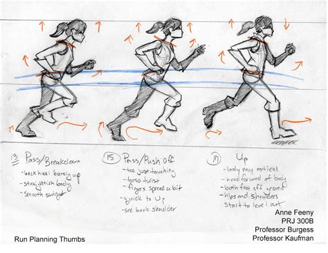 The Annemator Walk And Run Cycle Planning