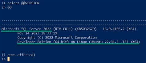 How To Install Microsoft Sql Server On Linux Are You An Sql Server Fan