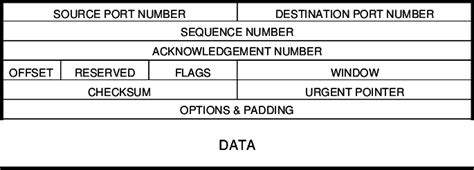 Figuur 3 12 Structuur Van Het Tcp Pdu Download Scientific Diagram