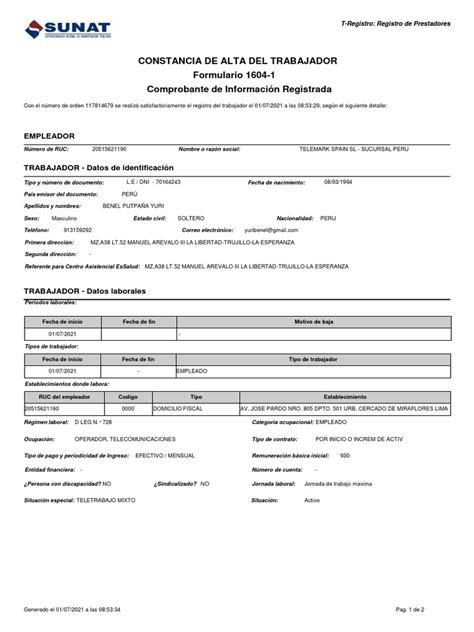 Benel Putpaña Yuri Alta Sunat Pdf Economias