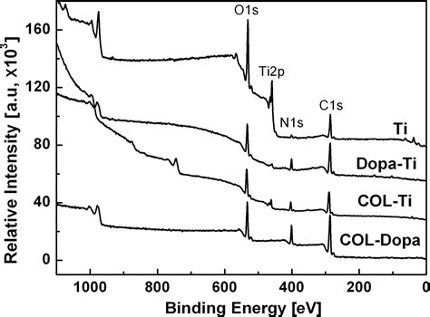 Figure 1 From Covalent Immobilization Of Collagen On Titanium Through Polydopamine Coating To