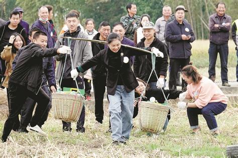 丰收运动会 田间赛农事
