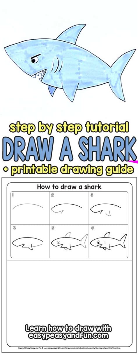 Shark Drawings Step By Step