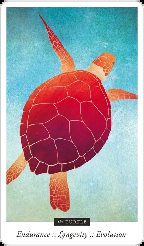 Familiar Field Oracle Tarothuset