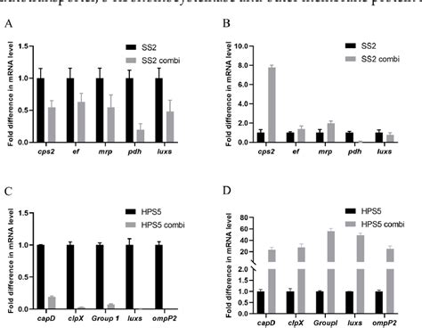 Figure 5 From Modeling Co Infection By Streptococcus Suis And