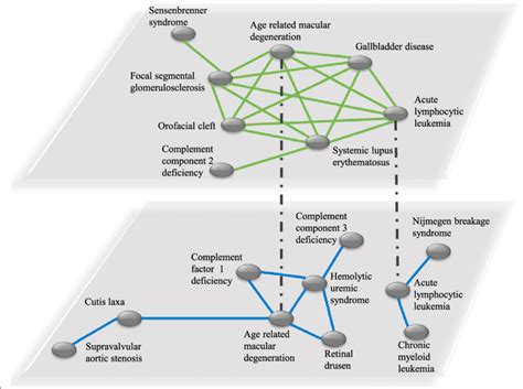 Multiplex Disease Disease Interaction Network Adapted From 79 The