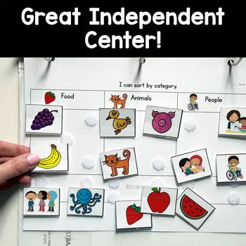 Sorting Objects Into Categories Shape Size Color Adapted Book Special Ed