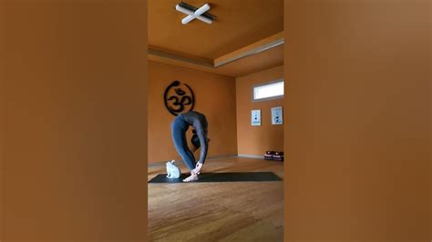 하타요가백밴딩트리앙무코타차크라반다간다베룬다 Youtube