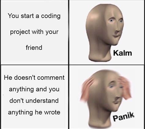 Pleaseeeeee Comment What You Are Coding I Dont Understand It Fully Man Rprogrammerhumor