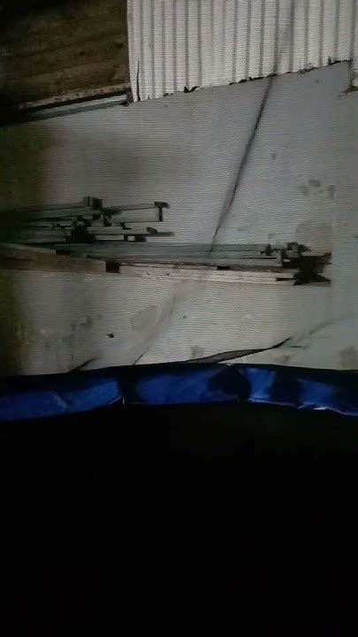 אליענה Youtube