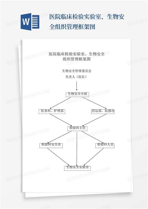 医院临床检验实验室生物安全组织管理框架图Word模板下载 编号qjwrpggz 熊猫办公