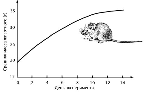 Выделительная система. Вторая часть