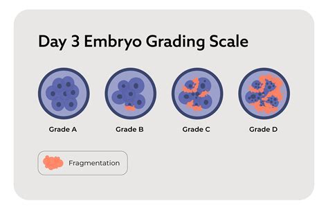 Grade Scale Chart