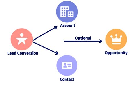 Understanding The Difference Between A Lead Account Contact And Opportunity In Salesforce