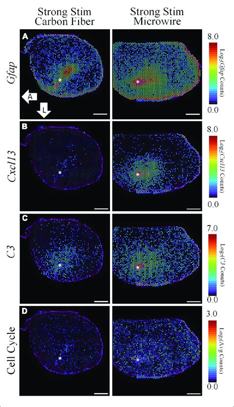 The Spatial Pattern Of Selected Differentially Expressed Genes