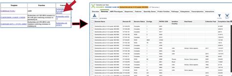 Metagenomic Read Mapping BV BRC