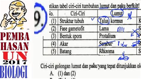 Ciri Ciri Fase Gametofit Tumbuhan Lumut Ciri Ciri Dan Daur Hidup Tumbuhan Lumut Bryophyta Mata