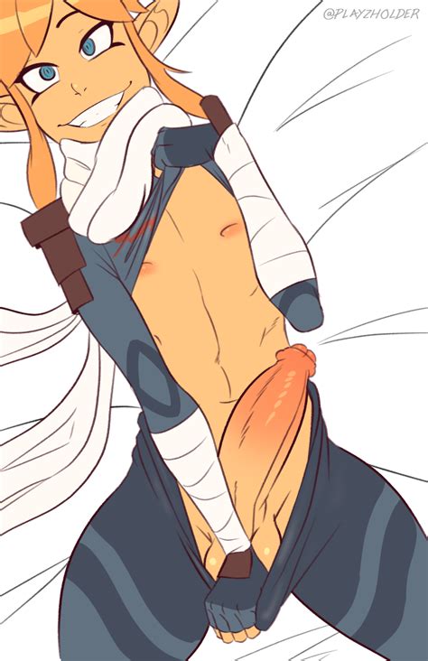 Sheikah Link By Playzholder Hentai Foundry