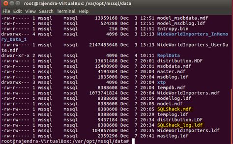 Renaming Logical And Physical File Names In Sql Server On Linux