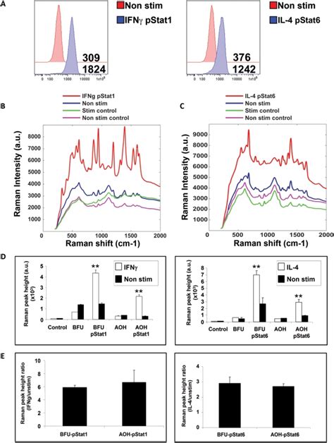 A Flow Analysis Of Pstat1 And Stat6 Phosphorylation Following