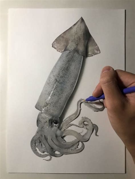 Japanese Artist Creates Incredibly Realistic Drawing Of A Squid That