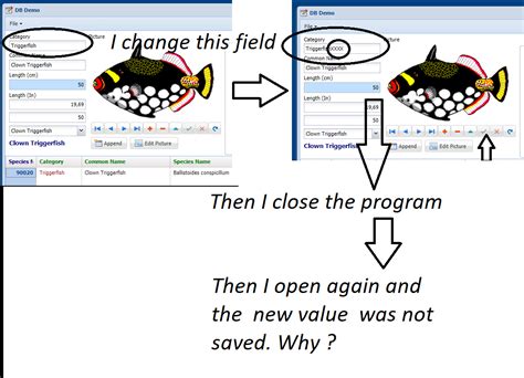 Conceptual Doubt About A Service Two Users But Just One Mysql Table General Unigui