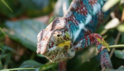 From Imperative To Declarative Code Using Linq Extension Methods