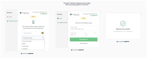 Paystack Payment Process Display At Frontend Support Portal For