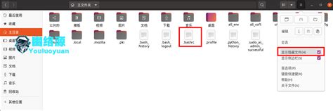 Ubuntu安装Python并配置pip阿里镜像教程