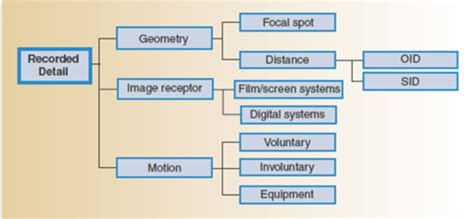 Principles Chapter 28 Spatial Resolution Flashcards Quizlet