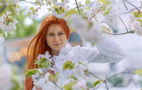 Wallpaper Look Girl Branches Cherry Pose Portrait Spring Hands