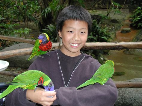 simpleimageinfo does not support jpeg exif format · issue 20 · opensagres xdocreport · github