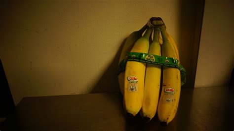 Assignment 4all Flickr