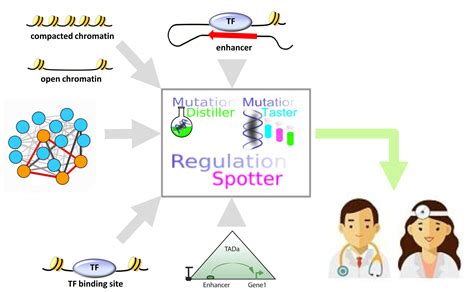 Beyond The Exome Welcome