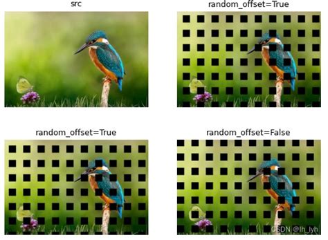 Albumentations图像增强详解（持续更新） Csdn博客