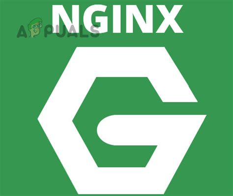 how to fix 500 internal server error nginx for client and server