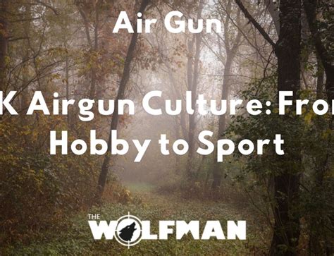 Airgun Vs Airsoft What S The Difference The Wolfman