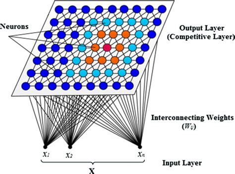 A Schematic Model Of Self Organizing Map Network 52 Download Scientific Diagram