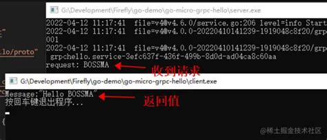 基于知名微服务框架go Micro开发grpc应用程序2 阿里云开发者社区