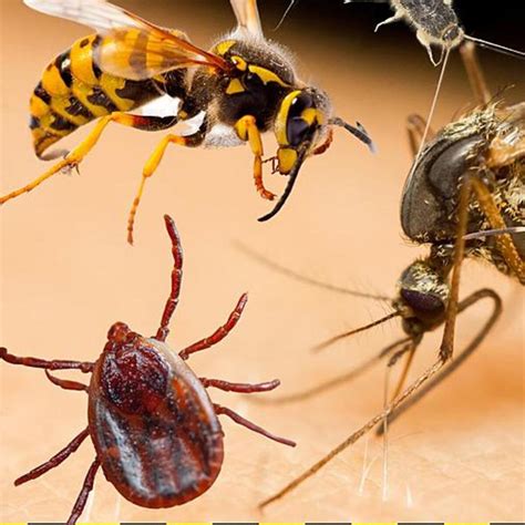 dangerous farm insects dataset kaggle