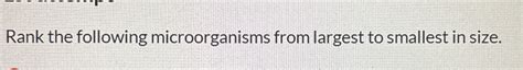 Solved Rank The Following Microorganisms From Largest To Chegg