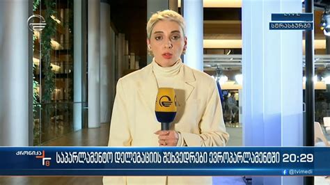 საპარლამენტო დელეგაციის შეხვედრები ევროპარლამენტში Youtube