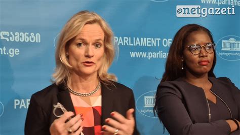ევროპარლამენტარები აქ ვინმეს ომში ჩასათრევად არ ვართ კრამონი Netgazeti • ვიოლა ფონ კრამონი