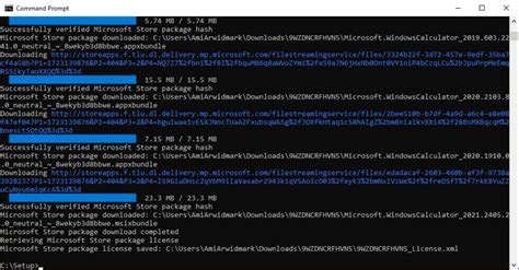 using winget to download microsoft store applications deployment research