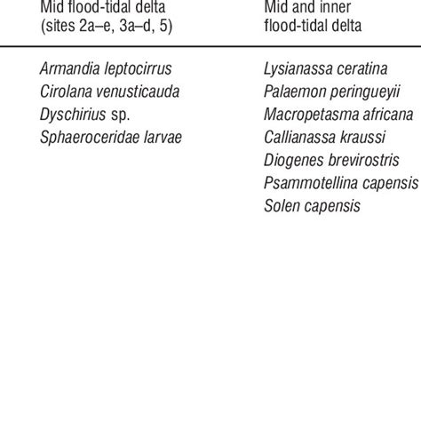 Nahoon Beach And Estuarine Flood Tidal Delta Showing Positions Of Download Scientific Diagram
