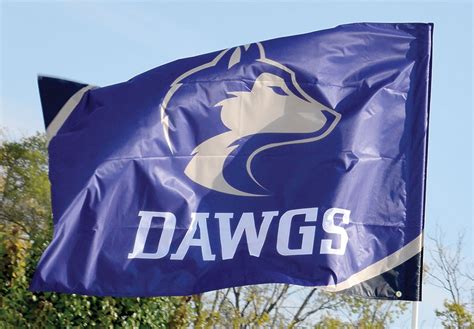 College Sports Team Flags At Robert Bullock Blog