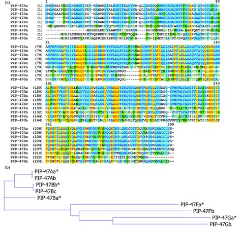 Pip 47aa Protein Homologs A Alignment Of Pip 47aa And Homolog Download Scientific Diagram